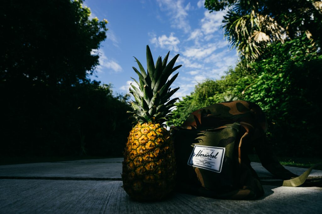 5 Easy Ways to Stay Healthy While Traveling - Souvenirs Madison